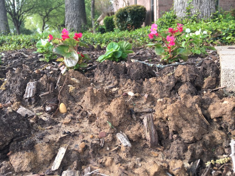 Static Perspective – Creative Practices